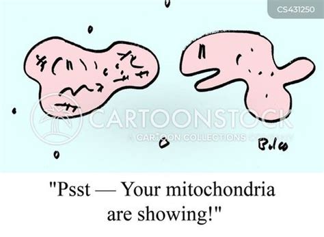 Mitochondria Cartoons And Comics Funny Pictures From Cartoonstock