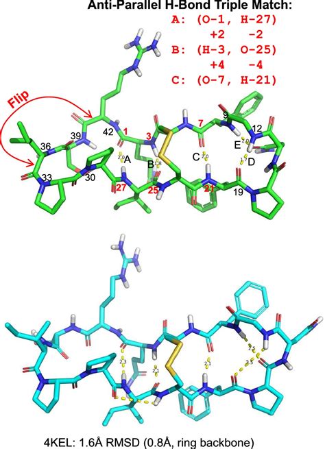 Complex Macrocycle Exploration Parallel Heuristic And Constraint Complex Macrocycle Exploration Parallel Heuristic And Constraint