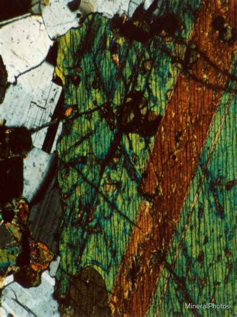 Twinned Pyroxene And Feldspar Thin Section Art Mini Skirt By