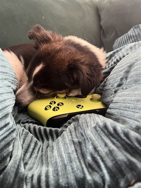 Alyska On Twitter Last Stream Before Holiday 🌞