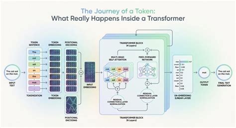 The Journey Of A Token What Really Happens Inside A Transformer