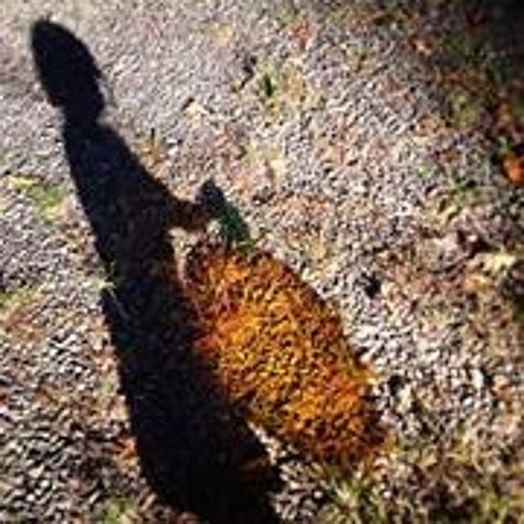 Stream Michael Ariano Music Listen To Songs Albums Playlists For Free On Soundcloud