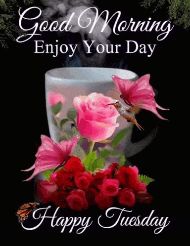 Happy Tuesday S
