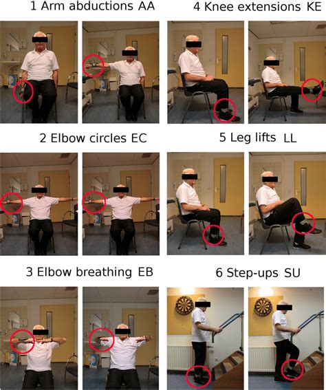 Illustration Of The Exercises Selected For The Training System