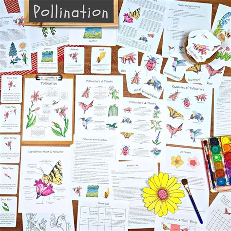 Pollination Unit Activities Lesson Plan And Classroom Materials