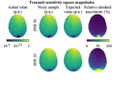 From Left To Right Map Of The Actual Transmit Sensitivity Square