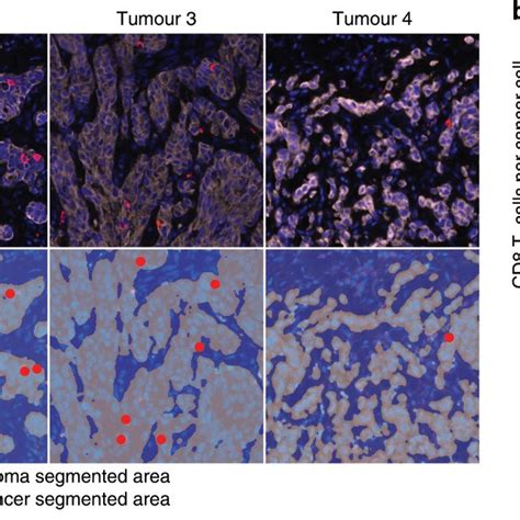 Marco Gerlinger Research Group Leader And Professor Of Gastrointestinal Cancer Medicine Md
