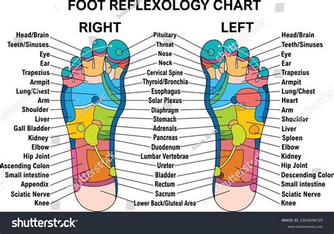 Body Reflexology