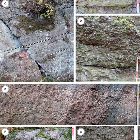 Lithofacies Type Code Modified After Miall 2006 Download Scientific Diagram