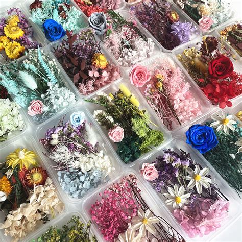 永生花干花材料包diy相框贴画团扇浮游团建活动花艺课武汉花材包虎窝淘