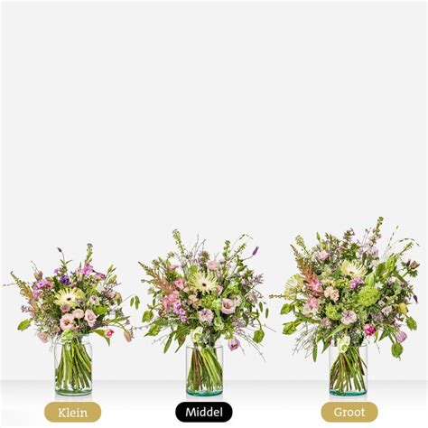 Uitbundig Voorjaar Boeket De Duinroos