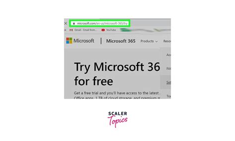 Excel Setup Scaler Topics