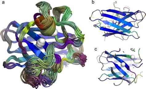 Nmr Structure Ensemble Of The Cuzn Bound Sod1 Colored With Chespi
