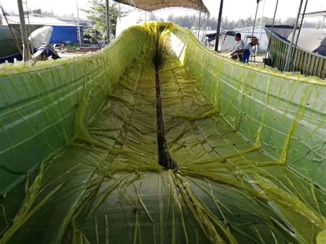 Density 80kgm3 Rigid Cross Linked Pvc Foams For Boat Core