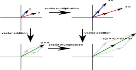 Angular Velocity In Vector Form QS Study