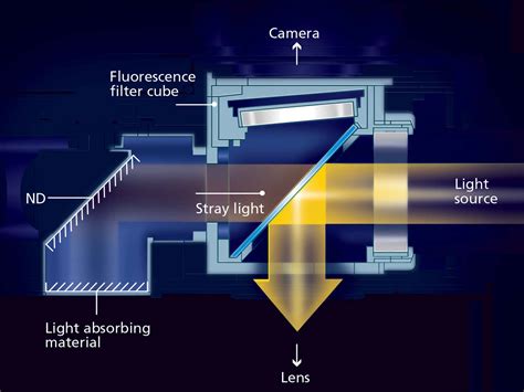 Upright Microscope Eclipse Ni Series Einst Technology Pte Ltd