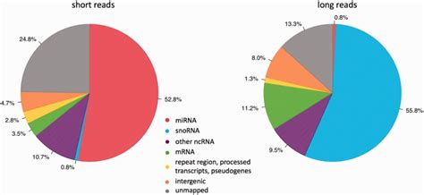 Genome Annotation Of Sequencing Reads From 10 Mouse Tissues The Pie Download Scientific
