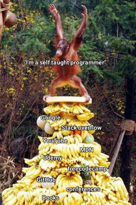 Softwareengineering Selftaught Codingjourney Techcommunity