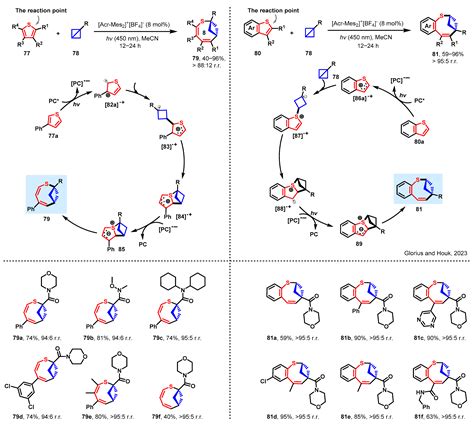 molecules free full text skeletal editing ring insertion for