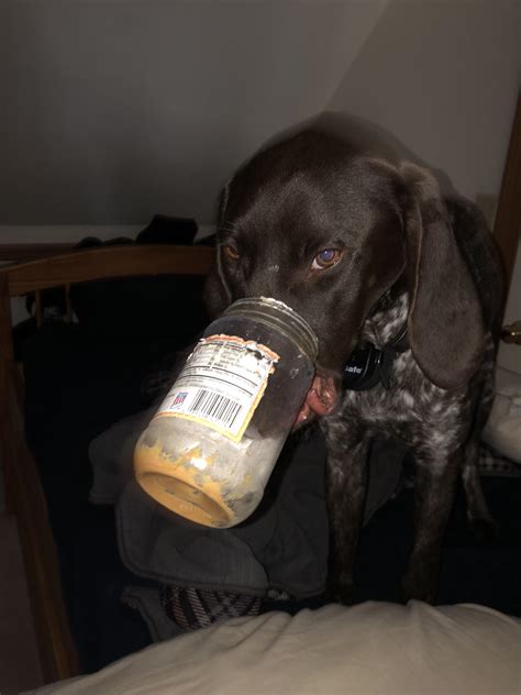 And Deke Being Deke R Gsp Photos