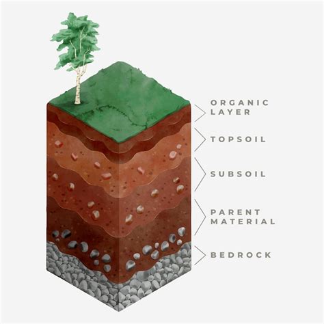Layers Of Soil Structure Types Of Soil Water Biology Neet