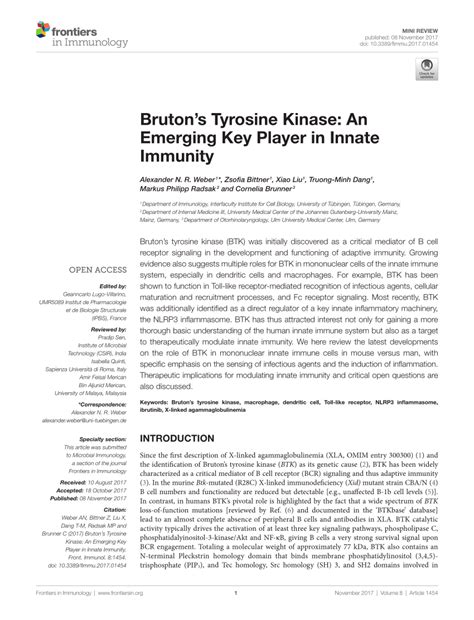 Pdf Brutons Tyrosine Kinase An Emerging Key Player In Innate Immunity