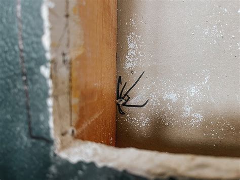 Create A Drywall Cutout To Let In Light
