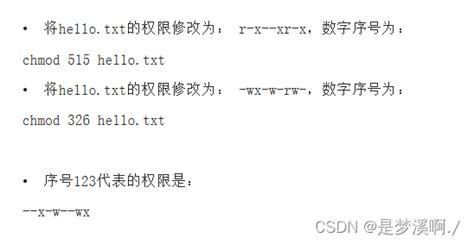深入理解chmod命令：文件权限管理与权限数字编码 Csdn博客