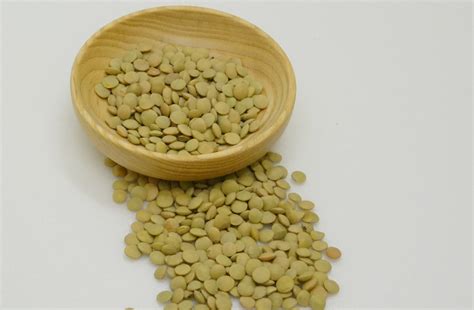 レンズ豆のこと 蒲原屋