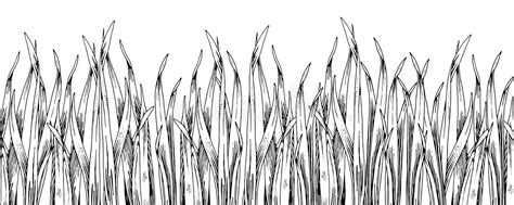 Grass Black White Drawing Stock Illustrations 25764 Grass Black