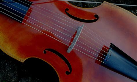 Cropped Background 01b  Cascadia Viols