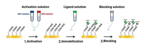 Buffer And Reagent Icluebio