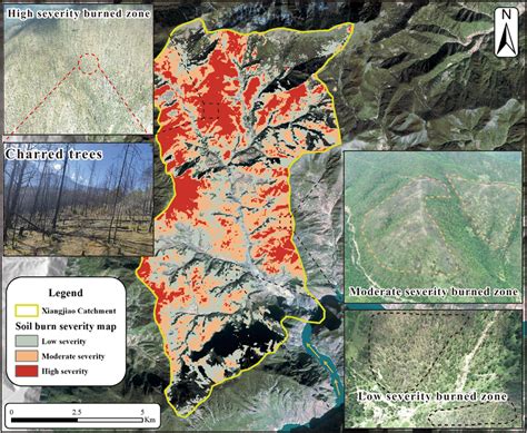 Post‐fire Soil Burn Severity Map Of The Study Area Download