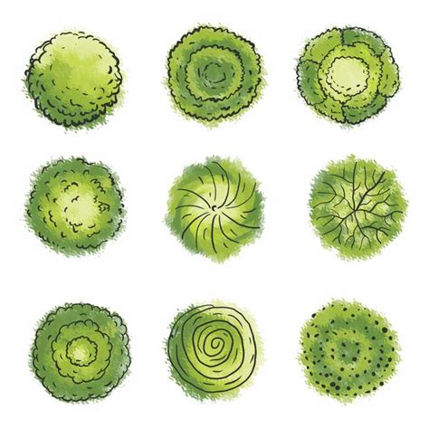 Tree Elevation Vector Art Icons And Graphics For Free Download