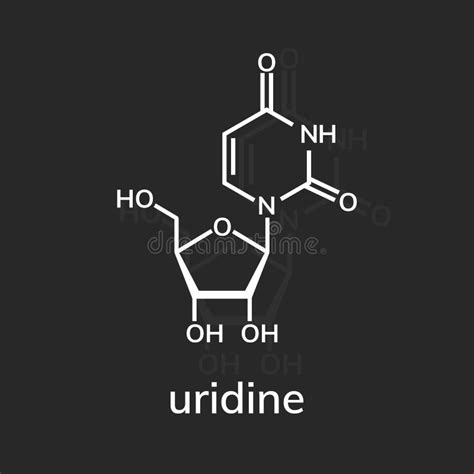 Uridine Reddit