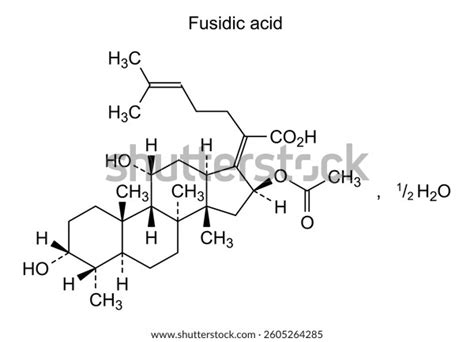 Chemical Structure Fusidic Acid Drug Substance Stock Vector Royalty
