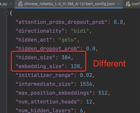 Convering Tf To Torch How To Set Custom Embedding Size When Using Load Tf Weights In Bert