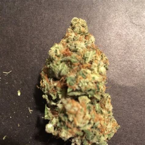 Skunk 1 Aka Skunk No 1 Skunk Skunk 1 Weed Strain Information Leafly