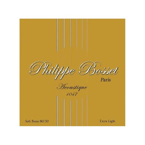 Philippe Bosset Guitare Folk Bronze 10 47 Cordes Guitare Folk