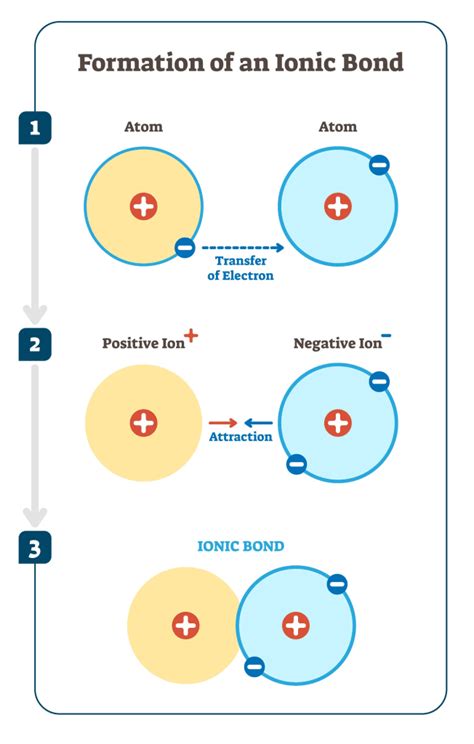 Cie Igcse Chemistry Ions And Ionic Bonds Study Notes Igcse Chemistry