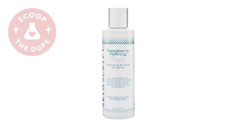 In Depth Analysis And Overview Of Skin Script Raspberry Refining Cleanser