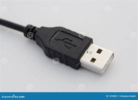 Lan Utp Cable Plug In Network Switch Stock Image