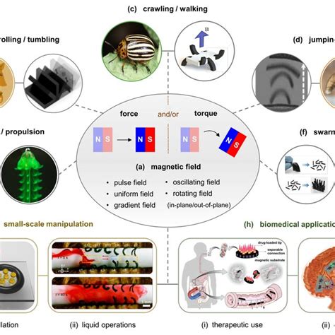 Illustration Of The Review Structure Download Scientific Diagram