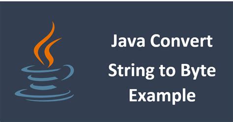 Java Convert String To Byte Example