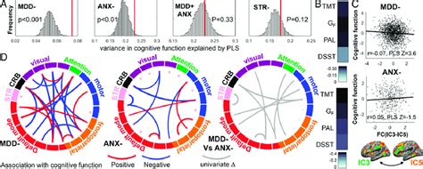 Brain Cognition Relationships Between Functional Connectivity And