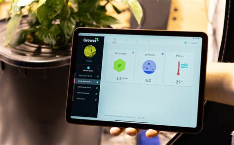 What Is Aeroponics And How Does Aeroponics Work Growee