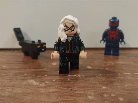 Black Cat Across The Cat Verse Rlego