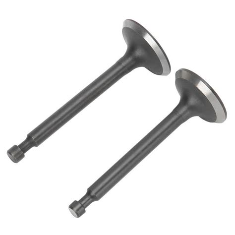 Pomp Su Pompası 2 Set Intake Uitlaatklep Kit 168f Vicedeal