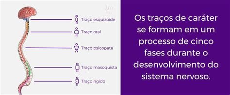 Como é Feita A Leitura Corporal Tripalis