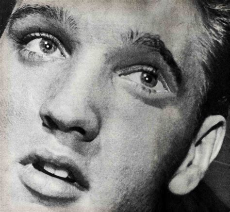 Elvis Presley Did Your Kiss Mean Any Thing At All Vintage Paparazzi